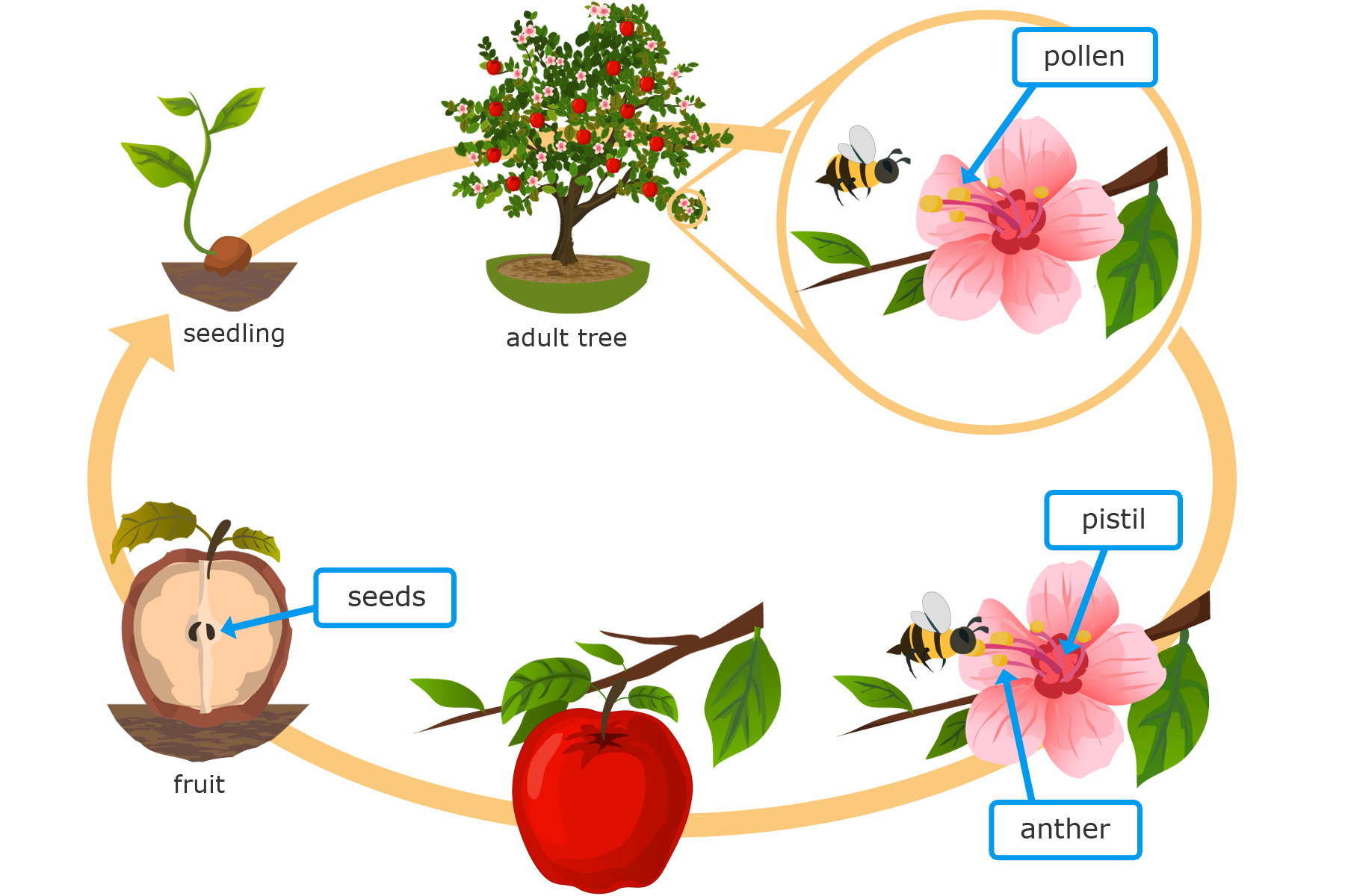 Living World – The MindPalace Academy of Learning