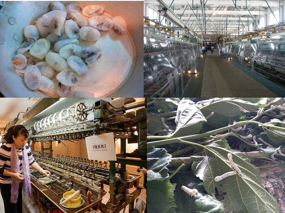 FIBRE TO FABRIC – The MindPalace Academy of Learning