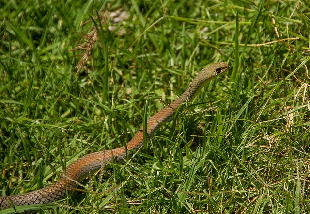 Body Movements – The MindPalace Academy of Learning